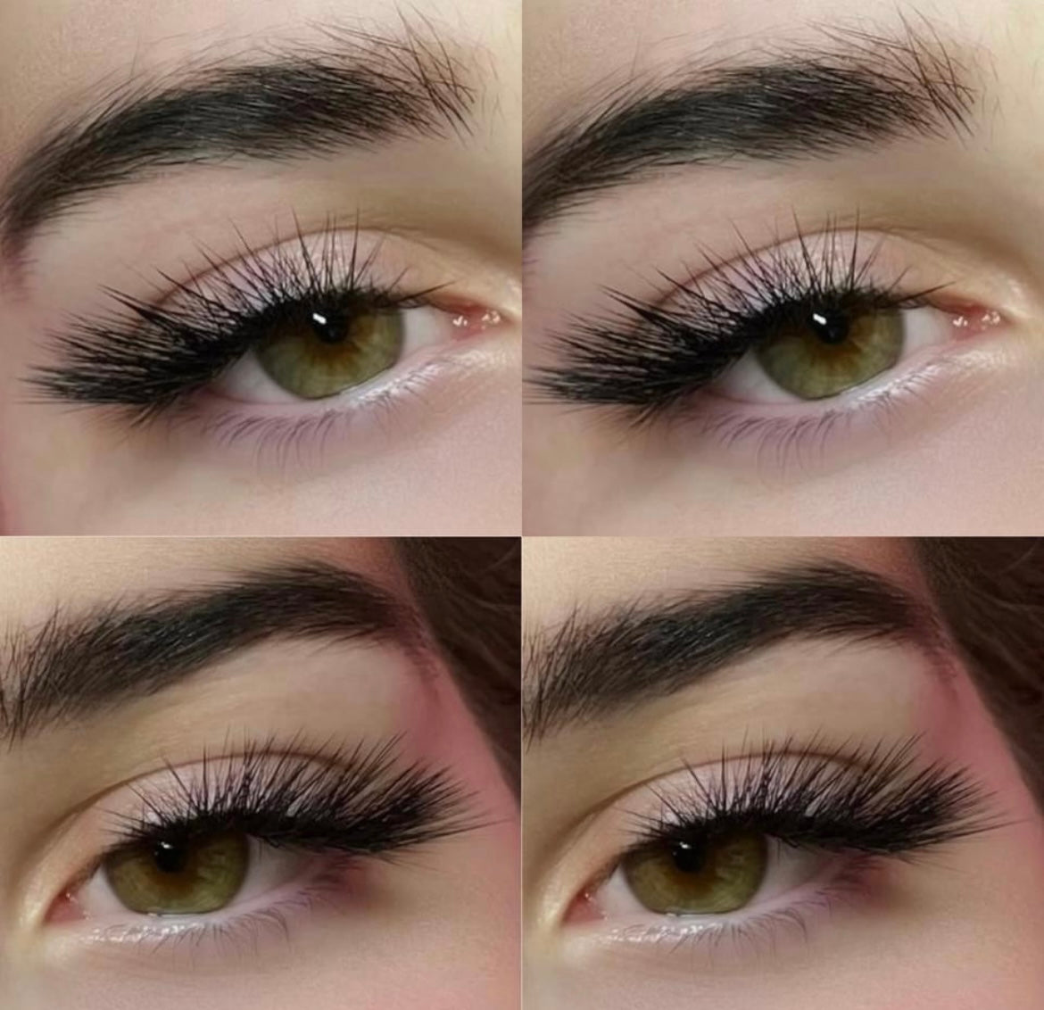 L Curl Fans-5D-Box Of 500 Fans – Luv Lashes Canada