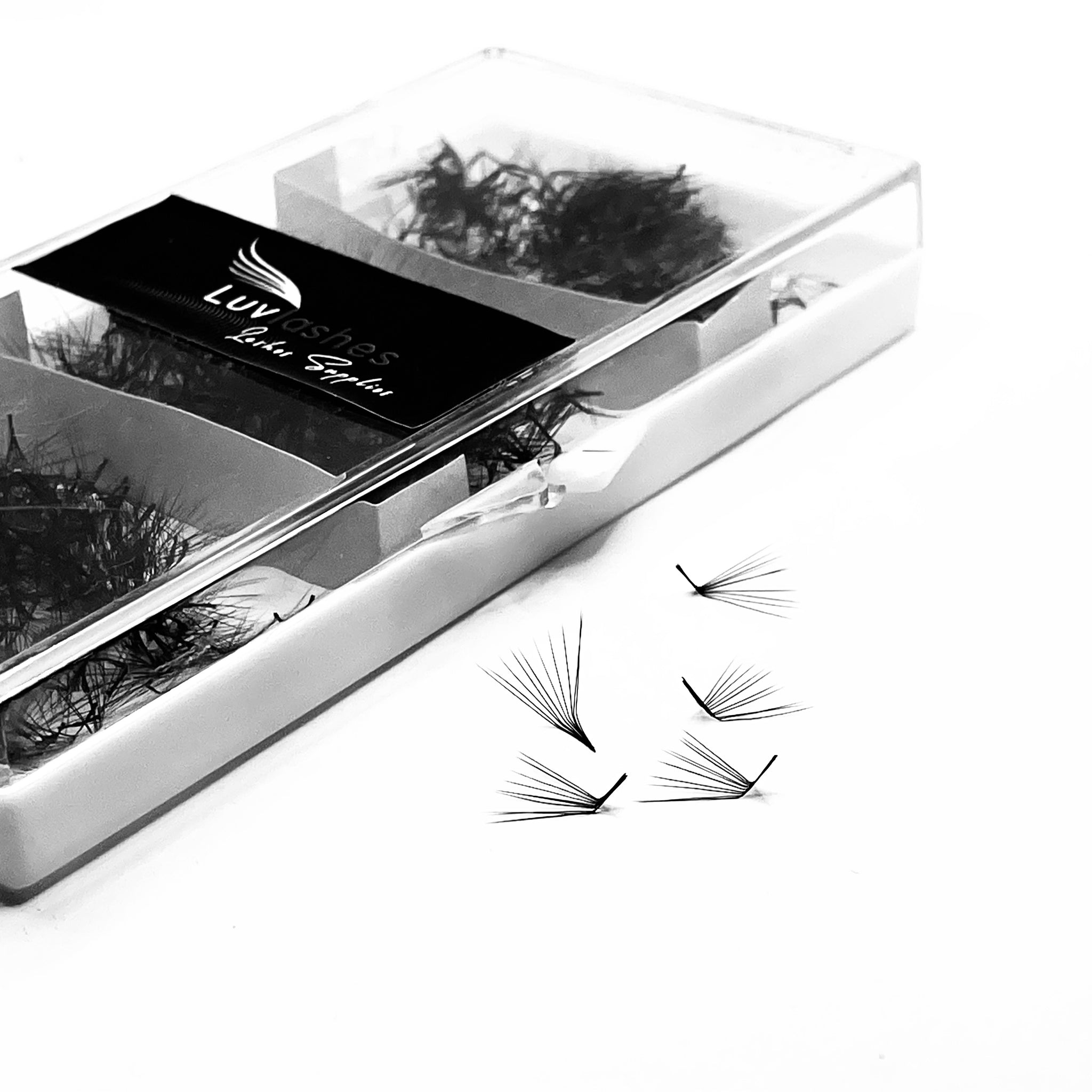 L curl/10D - Mixed 3 Sizes Box/750 Fans – Luv Lashes Canada